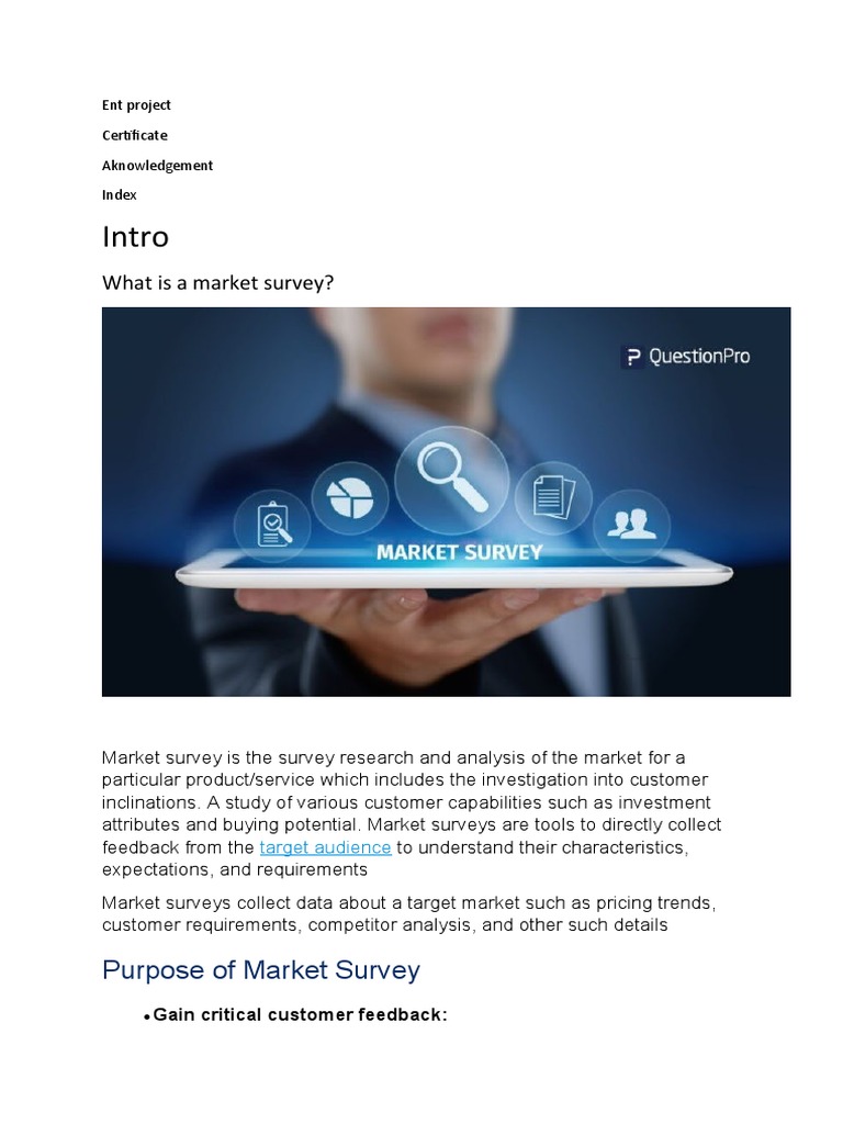 Ent Project | PDF | Marketing Research | Marketing