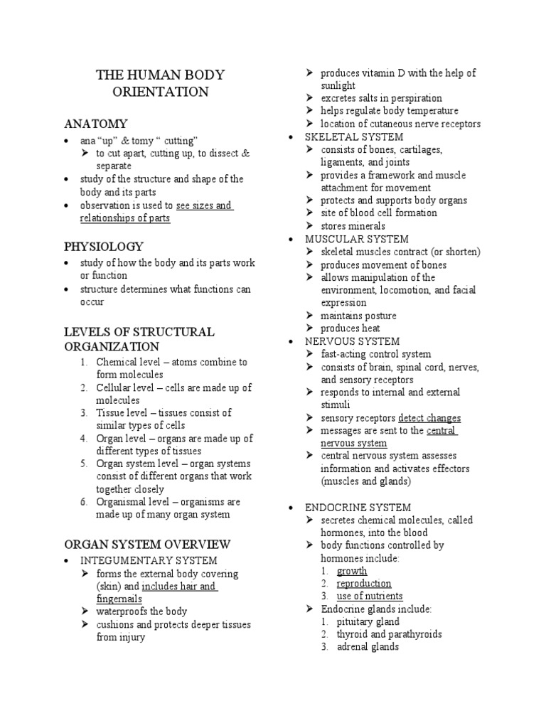 Anatomy & Physiology Basics | PDF | Anatomical Terms Of Location ...