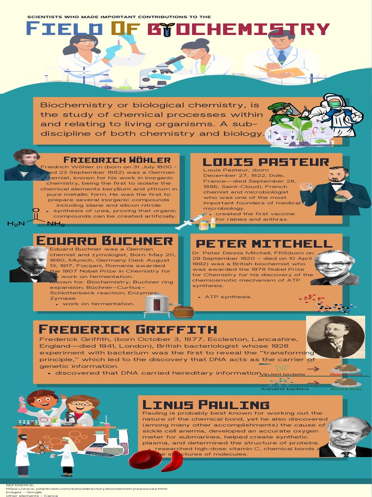 M1 Check-In Activity 1 (LEC) | PDF | Biochemistry | Chemistry