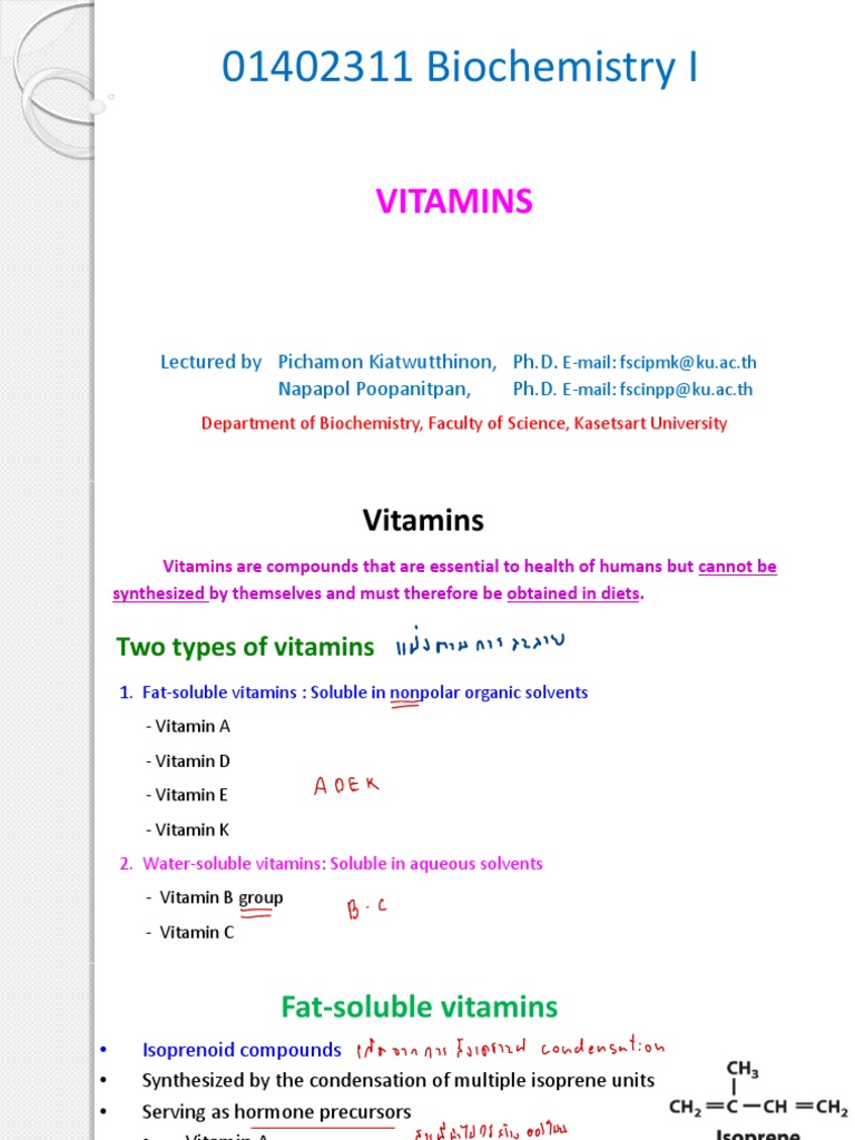 Vitamin and Metabolism Intro - BC I 2565-Sheet | PDF | Metabolism ...