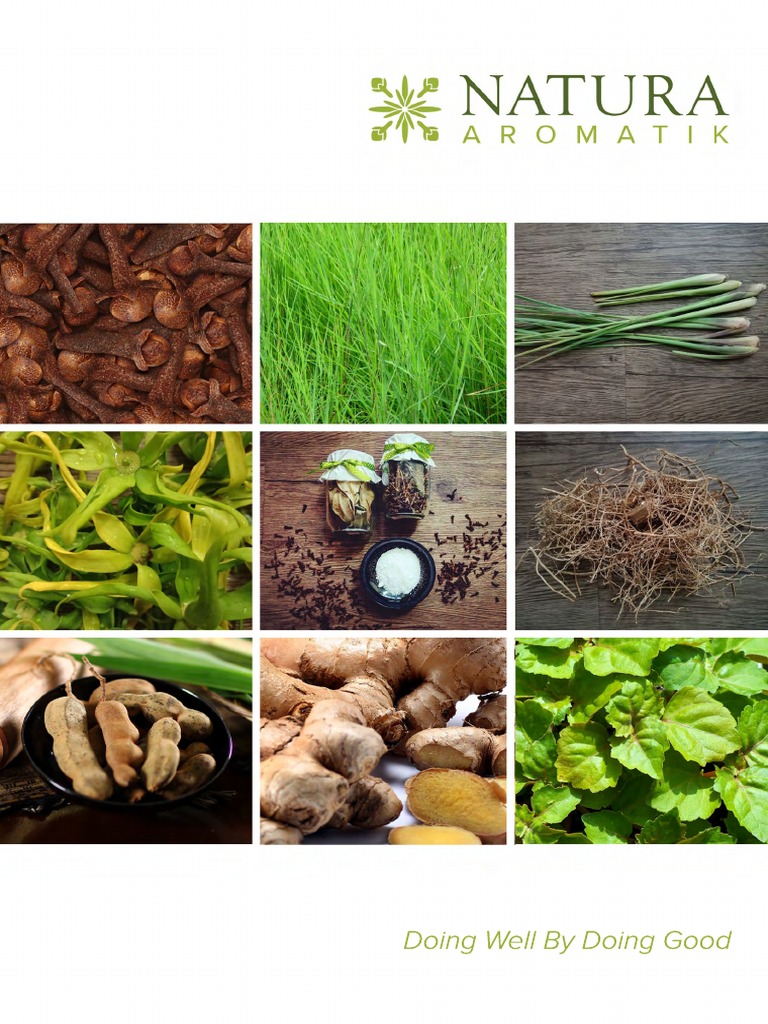 Natura Aromatik: Sustainable Aroma Solutions | PDF