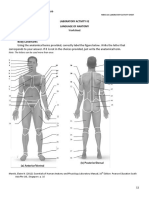 Directional Terms Worksheet | PDF | Anatomical Terms Of Location | Elbow