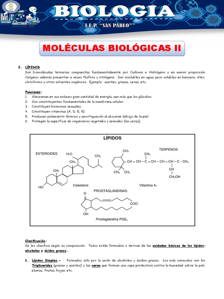 5º Sec Moleculas Biologicas II | PDF | Lípido | Biomoléculas