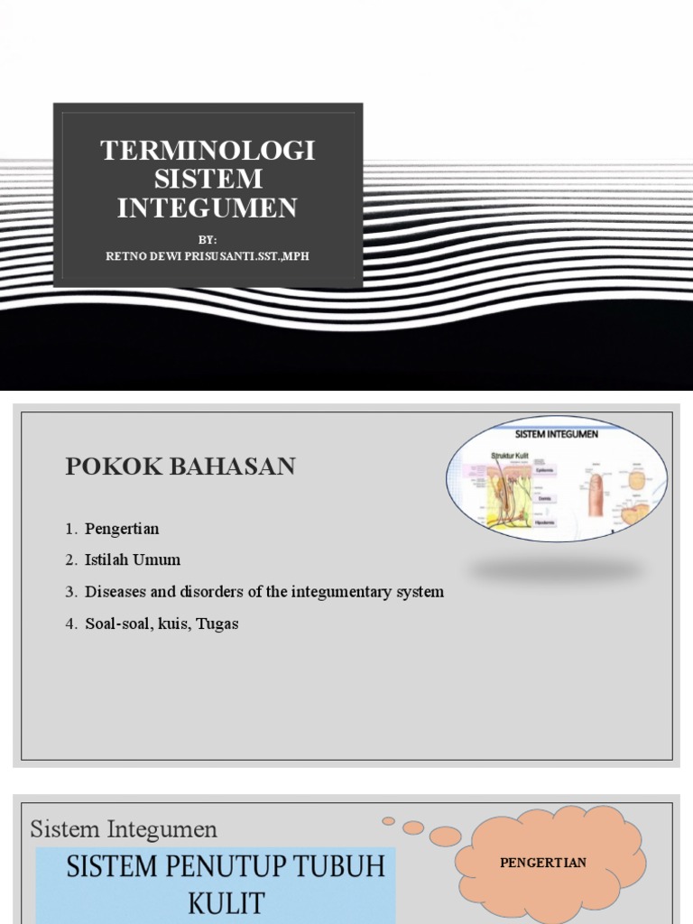 Terminologi Sistem Integumen Kulit | PDF | Sains & Matematika