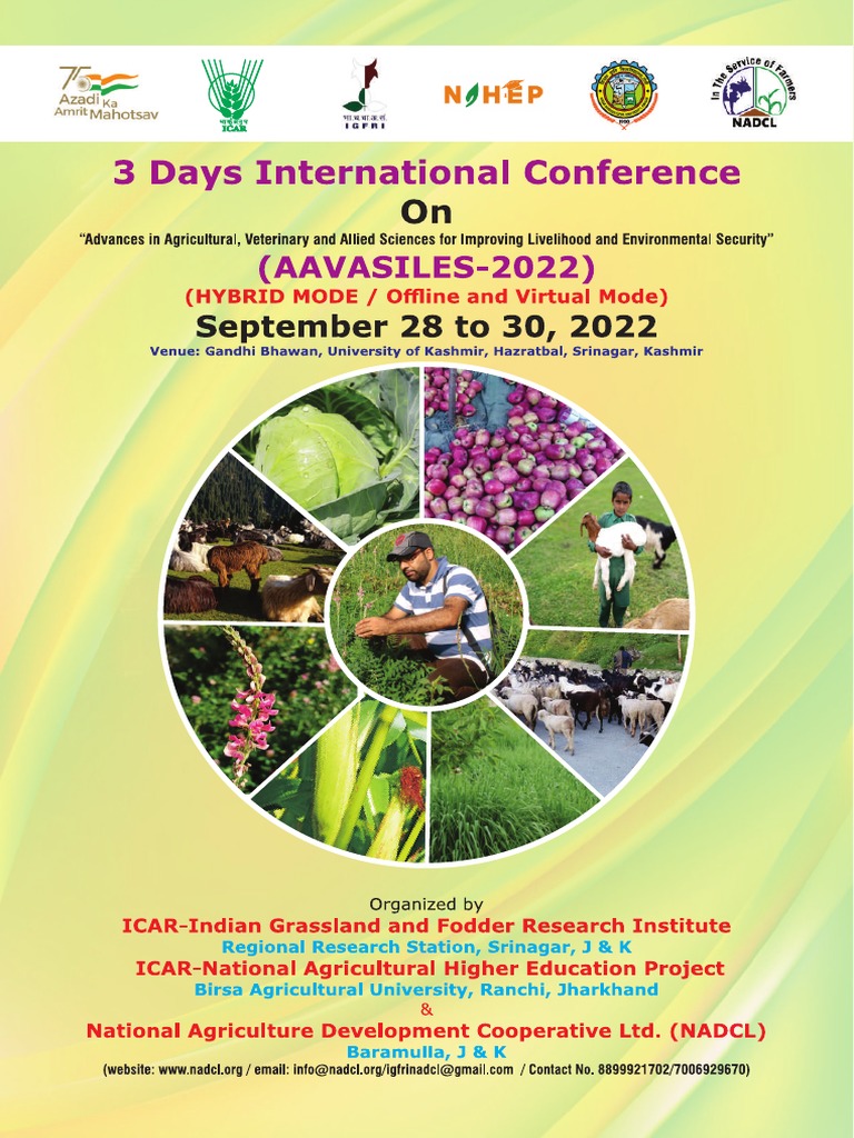 Modified Conference Brochure | PDF