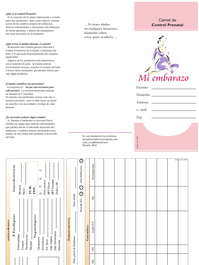 Carnet Del Embarazo | PDF