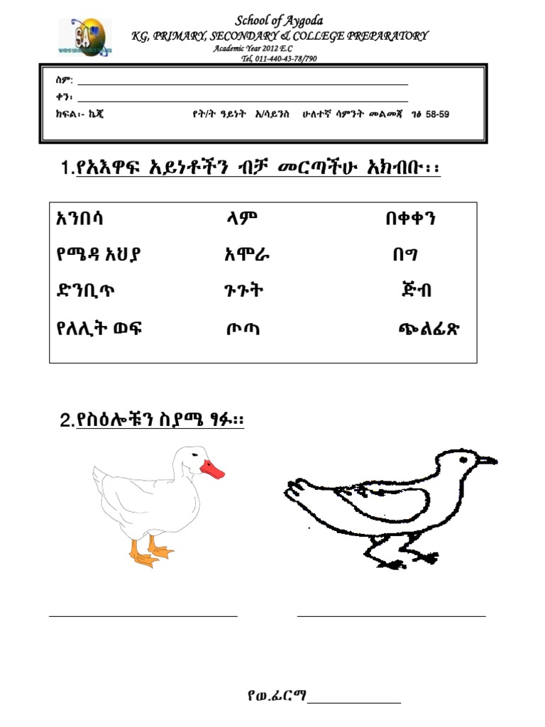 G.S in Amharic For LKG Worksheet 2 | PDF