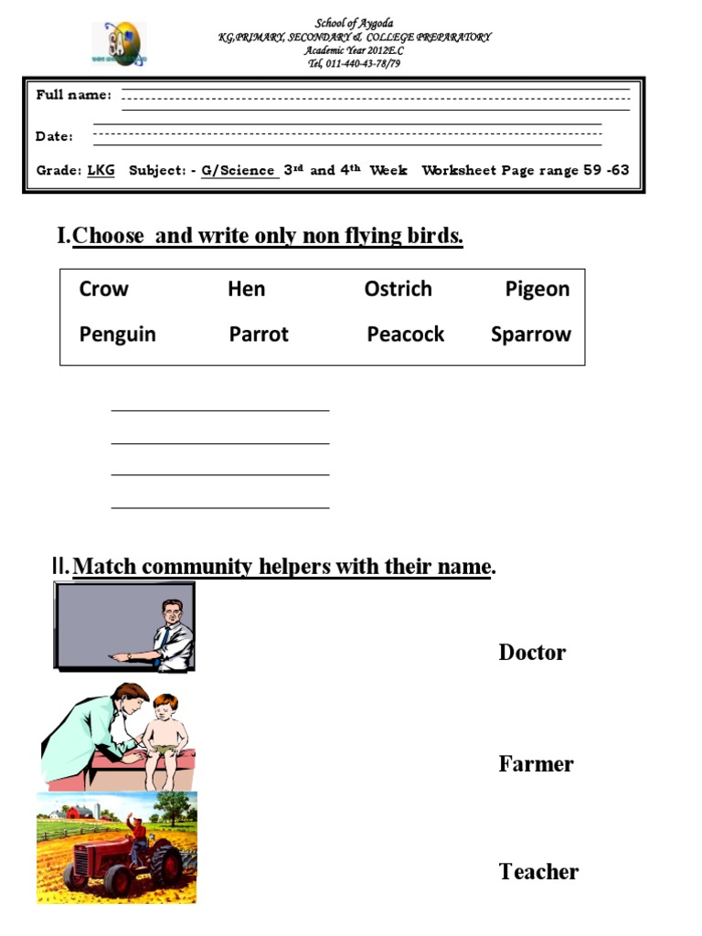 General Science For Pre KG | PDF