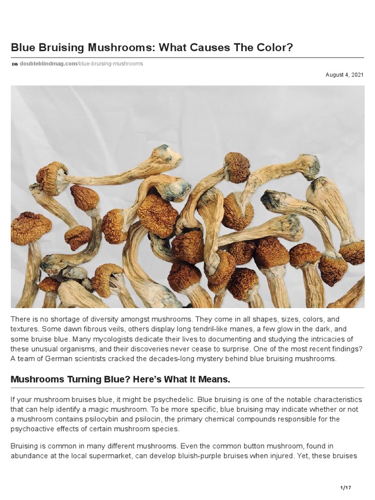 Blue Bruising Mushrooms What Causes The Color | PDF | Mushroom | Psilocybin