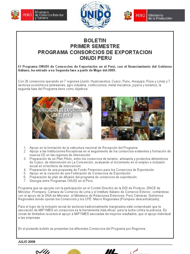 Consorcios de Exportación en Perú | PDF | Negocios