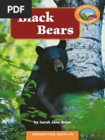 Brown Bear Book | PDF