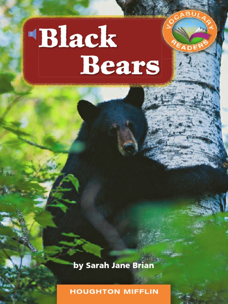 Lesson 7-Black Bears | PDF | Bears