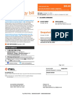 Sample PSEG Bill | PDF