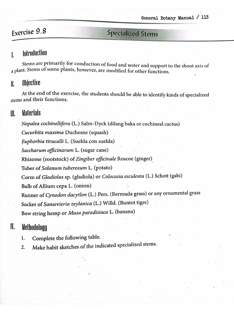 Botany Lab Activity Specialized Stems | PDF