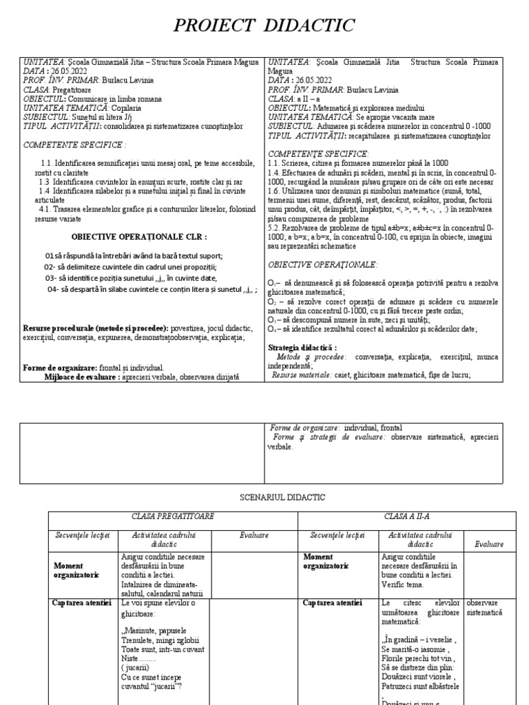 Proiect Didactic Mem CLR | PDF