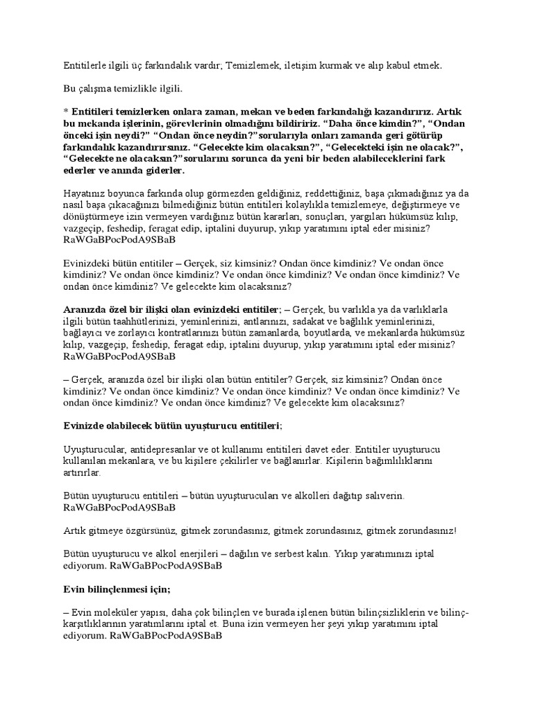 Entiti Temizliği | PDF