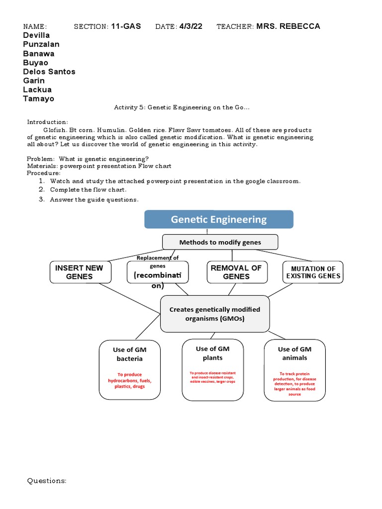 Activity 5 GROUP PETA New | PDF | Genetic Engineering | Genetically ...