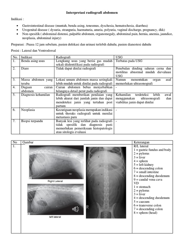 Interpretasi Radiografi Abdomen | PDF