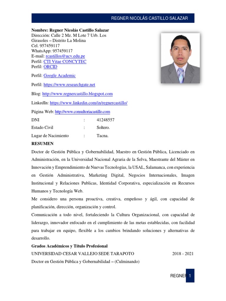 Perfil Profesional de Regner Castillo | PDF | Perú | Marketing