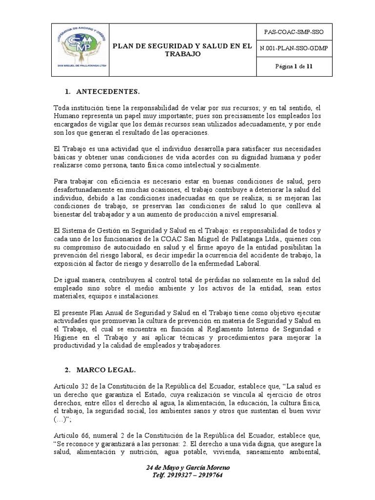 PLAN-001 Plan de SSO 2021 | PDF | Seguridad y salud ocupacional | Ciencias de la Salud