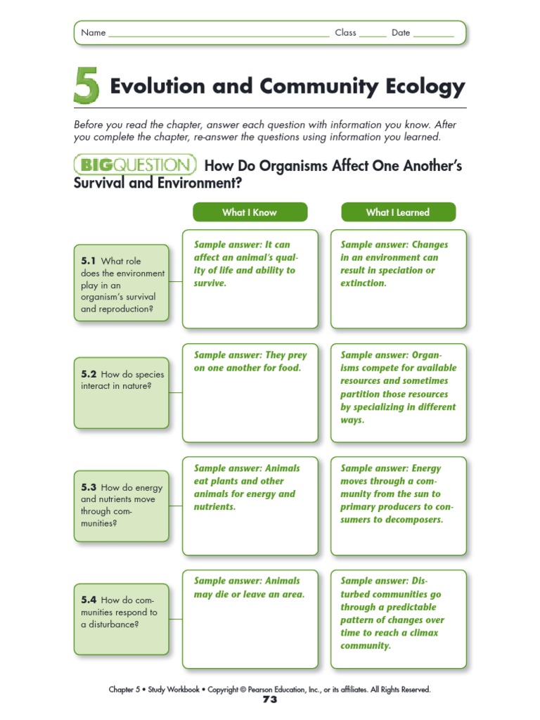 Evolution Study Guide Answer Key - Verona School District | PDF ...