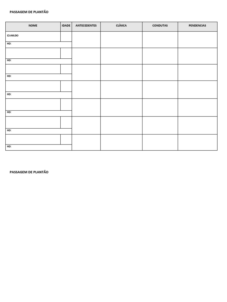 Modelo Passagem de Plantão | PDF