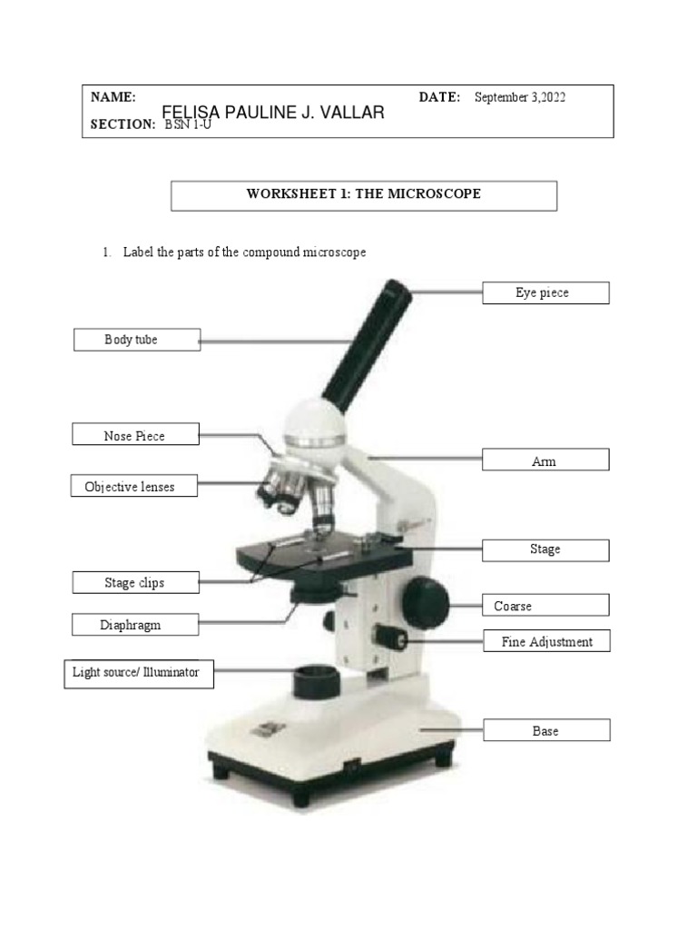 MICROSCOPE | PDF | Lenses | Electromagnetism