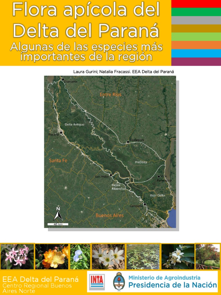 Flora Apicola Del Delta | PDF | Hoja | Arboles