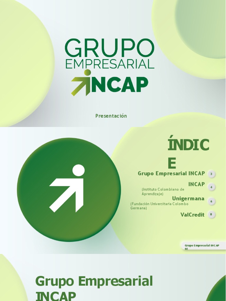 Programas Técnicos y Educativos en INCAP | PDF