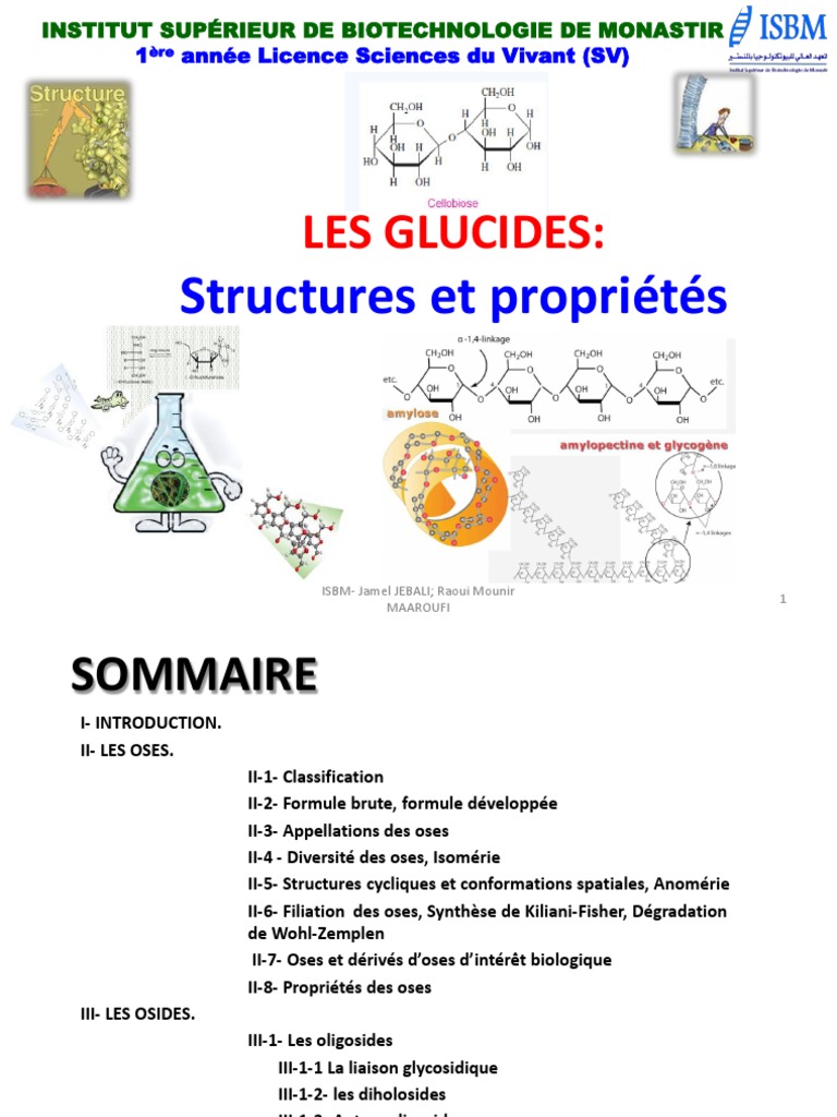 Classification et structures des glucides | PDF | Glucide | Glucose