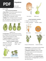 Biological Classification Ploidy Cell Division Table | PDF