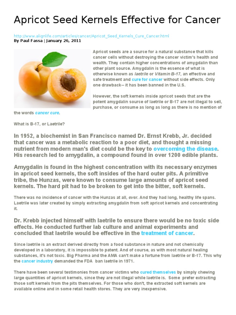 Apricot Seed Kernels Effective for Cancer | Seed | Cancer