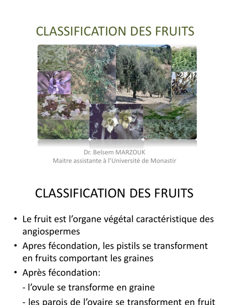 classification des fruits | PDF