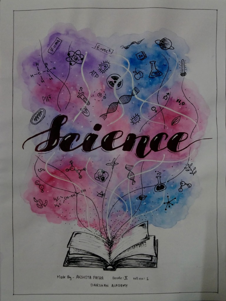 Science Portfolio | PDF | Kidney | Excretion