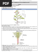 Morphology of Flowering Plants Annotated NCERT | PDF