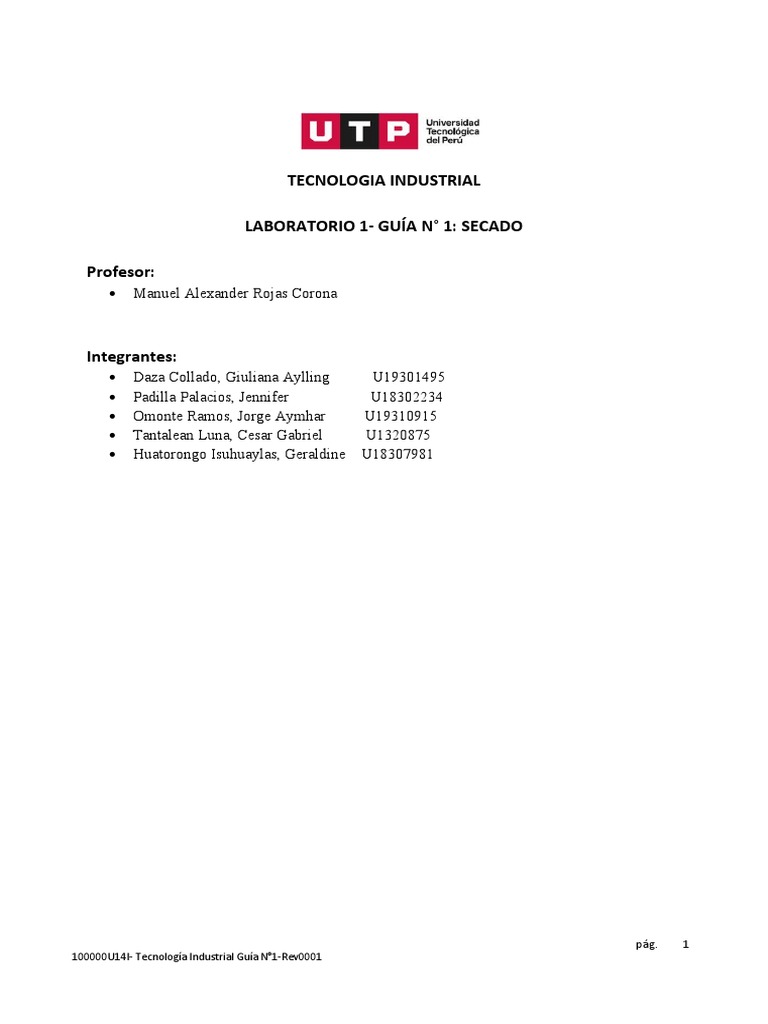 Laboratorio1 Secado | PDF