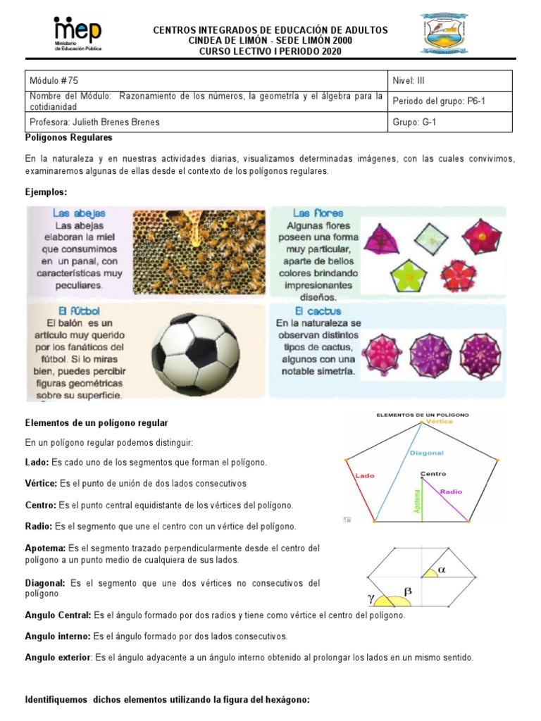 Poligonos Regulares | PDF | Geometría Elemental | Geometría del plano ...