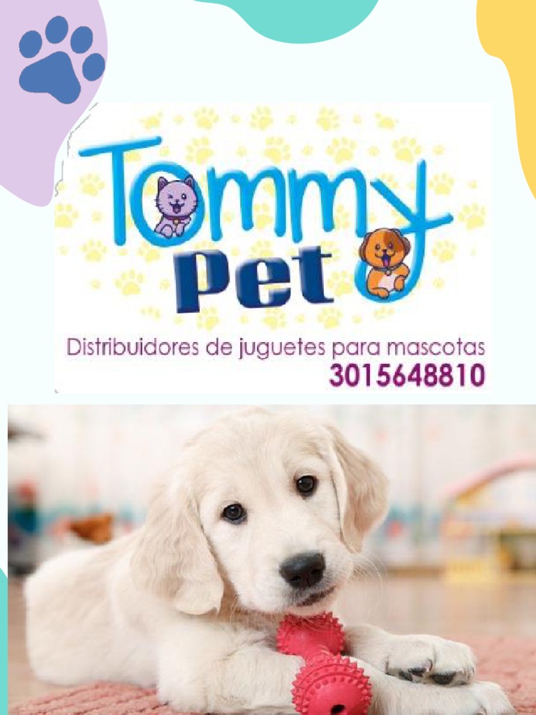 Catalogo Tommy Pet - Accesorios | PDF
