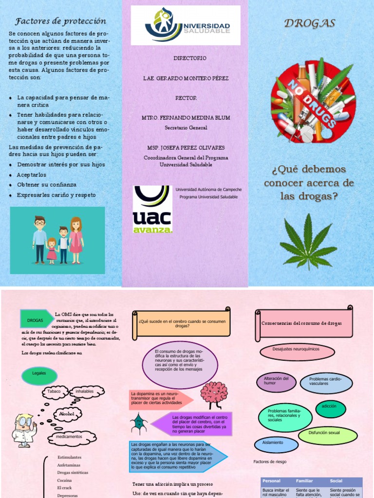 Drogas | PDF | Drogas | Neurociencia