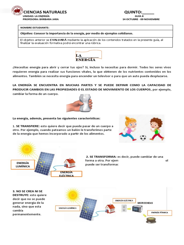 Guía 8 6°básico - CIENCIAS | PDF