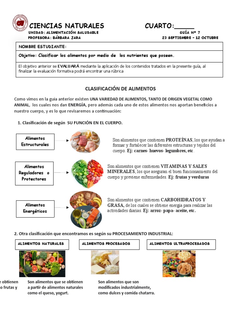 Guía 7 4°básico - Ciencia | PDF | Alimentos | Promoción de la salud