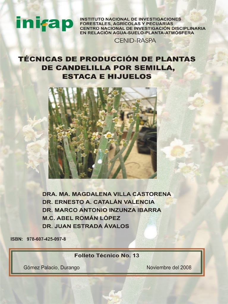 13 - Técnicas de Producción de Plantas de Candelilla Por Semilla ...