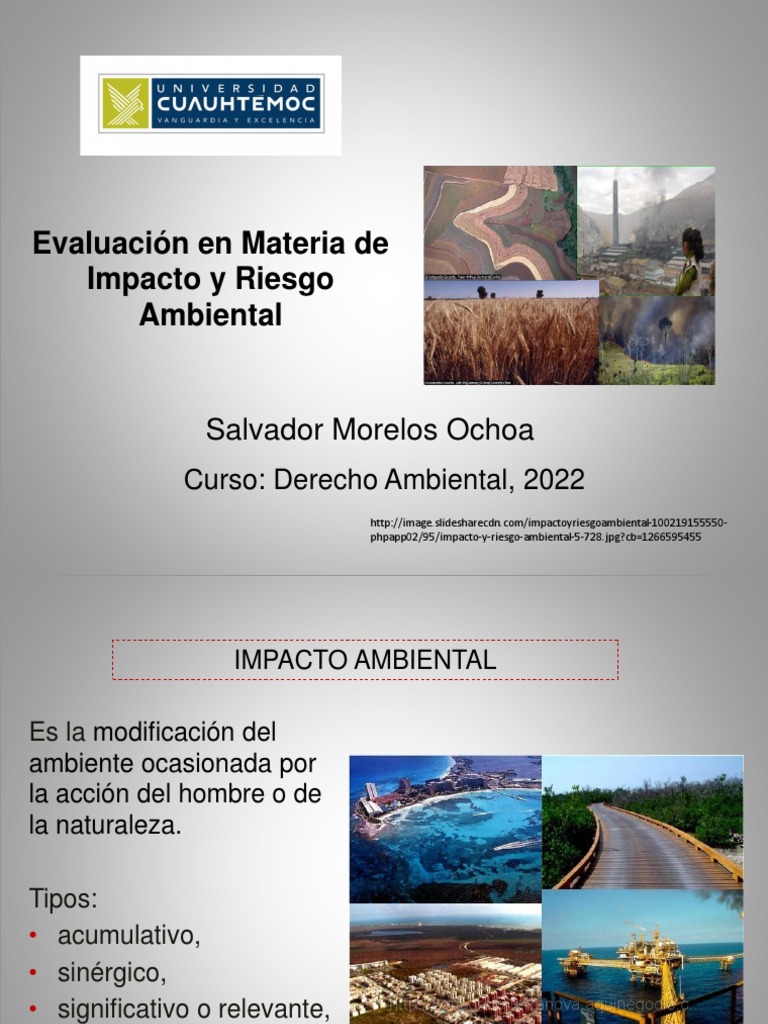 A. Impacto y Riesgo Ambientalsmo | PDF | Evaluación de impacto ambiental | Entorno natural