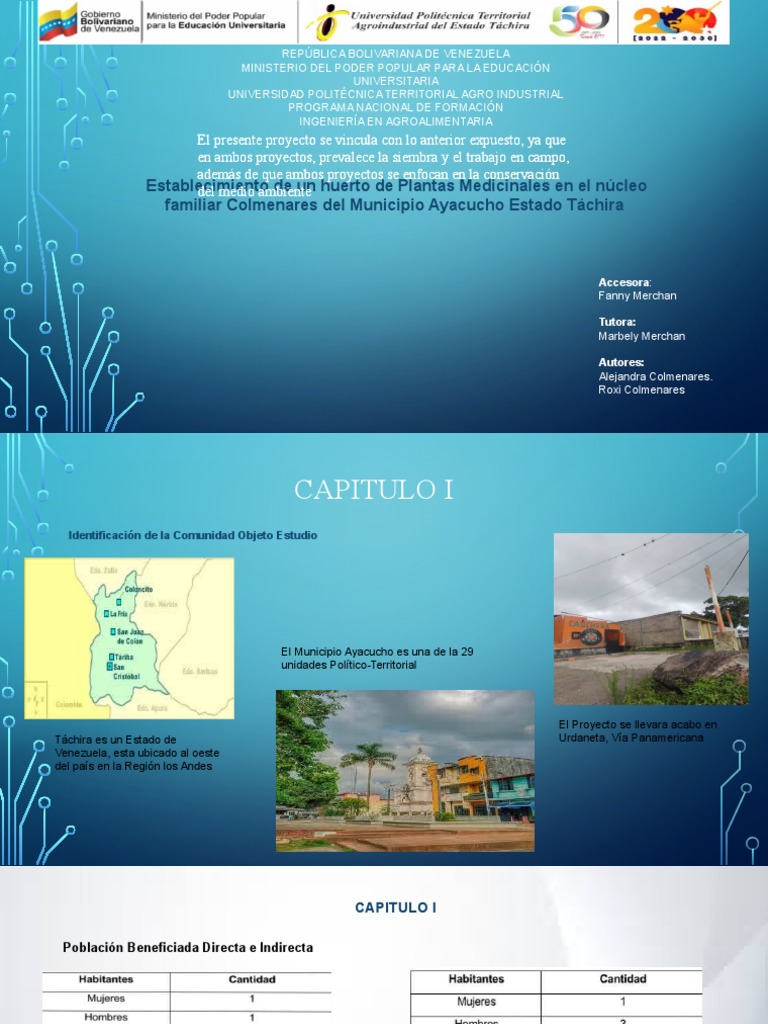 Defensa Proyecto | PDF