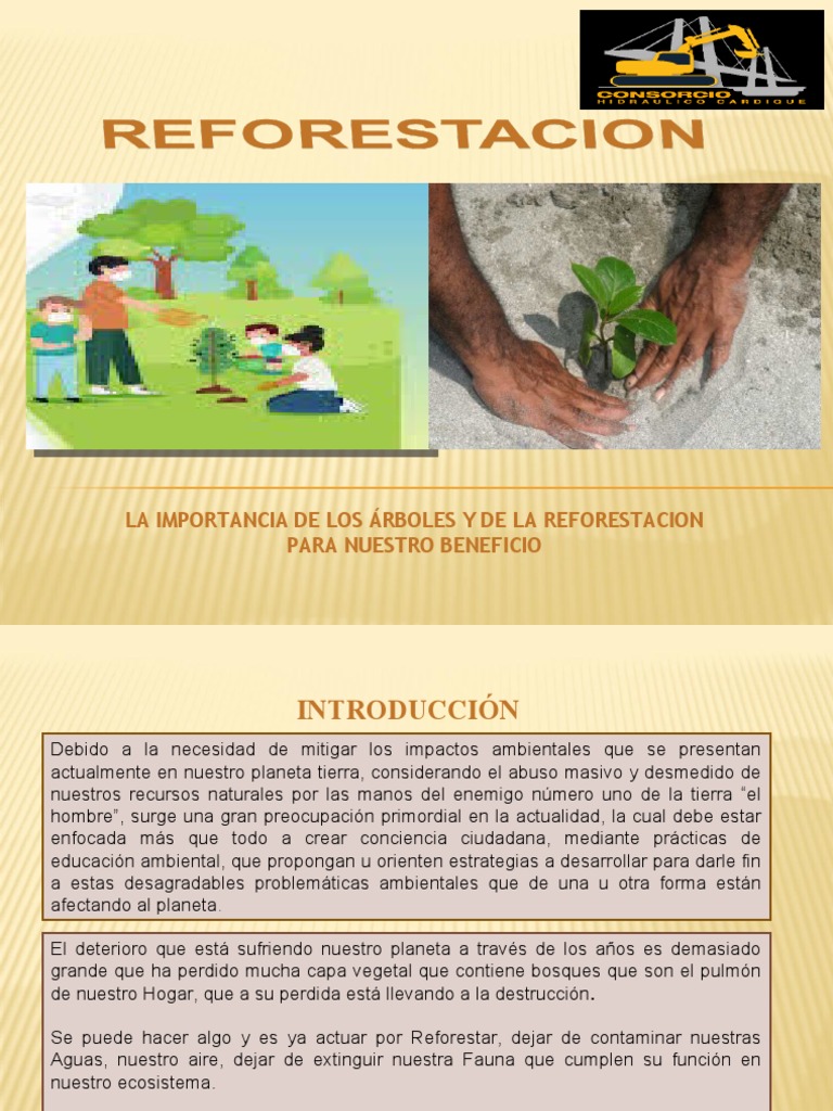 Importancia y Beneficios de la Reforestación | PDF | Entorno natural ...