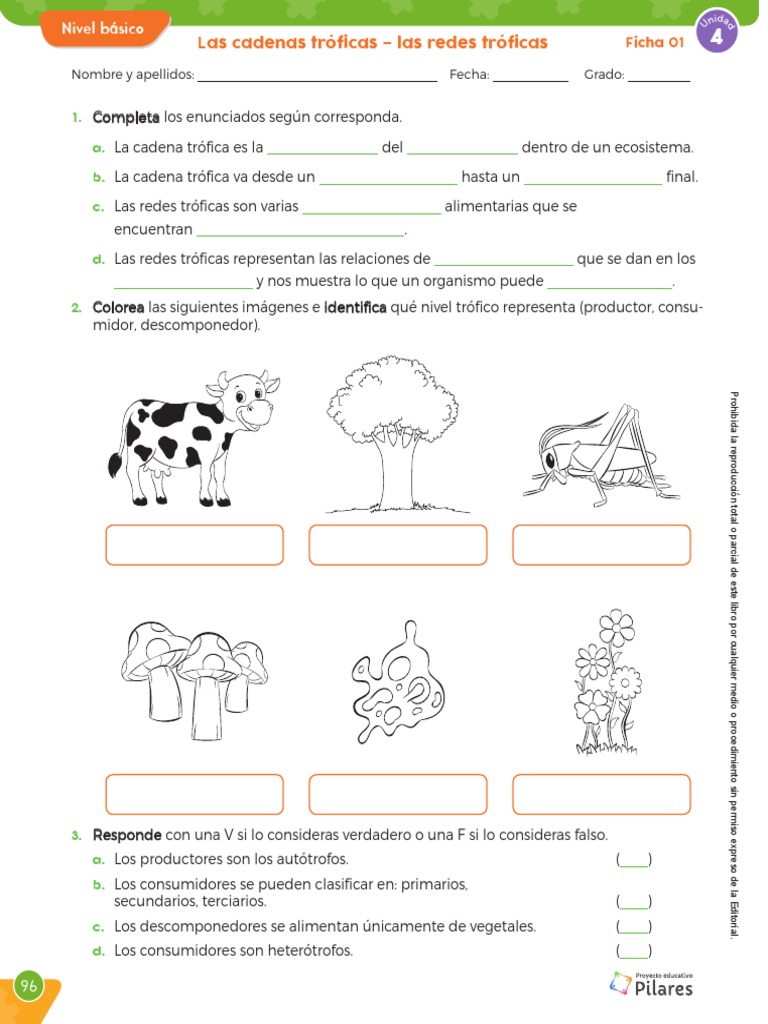 Las Cadenas Troficas - Las Redes Troficas (Alumno) | PDF | Red ...