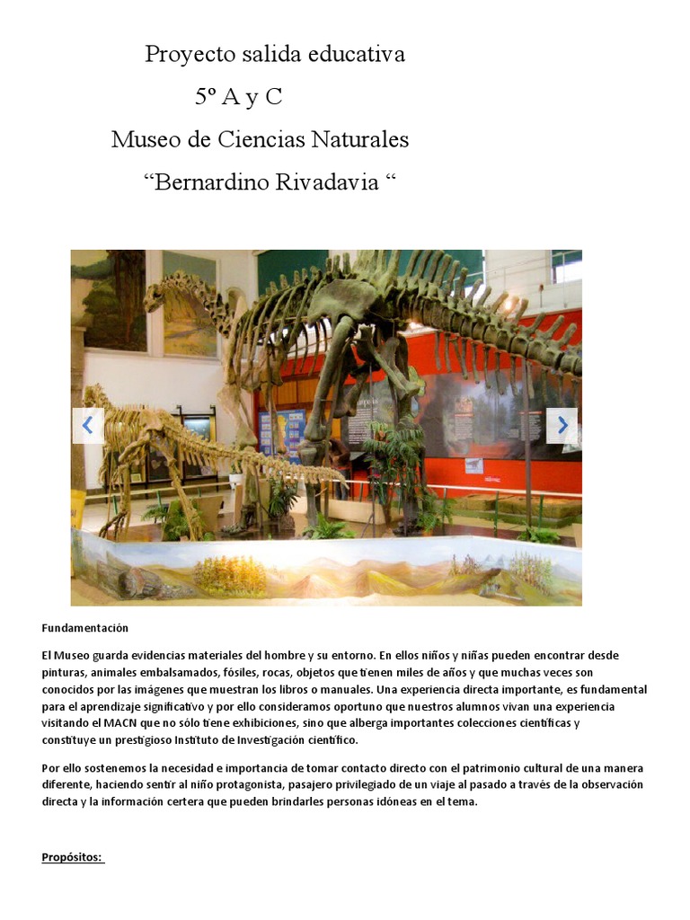 Proyecto Salida Educativa | PDF | Ciencias sociales