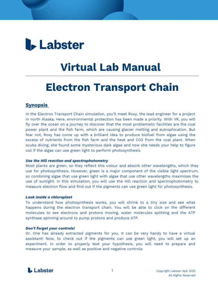 ETC Electron Transport Chain Lab Manual (English) | PDF ...