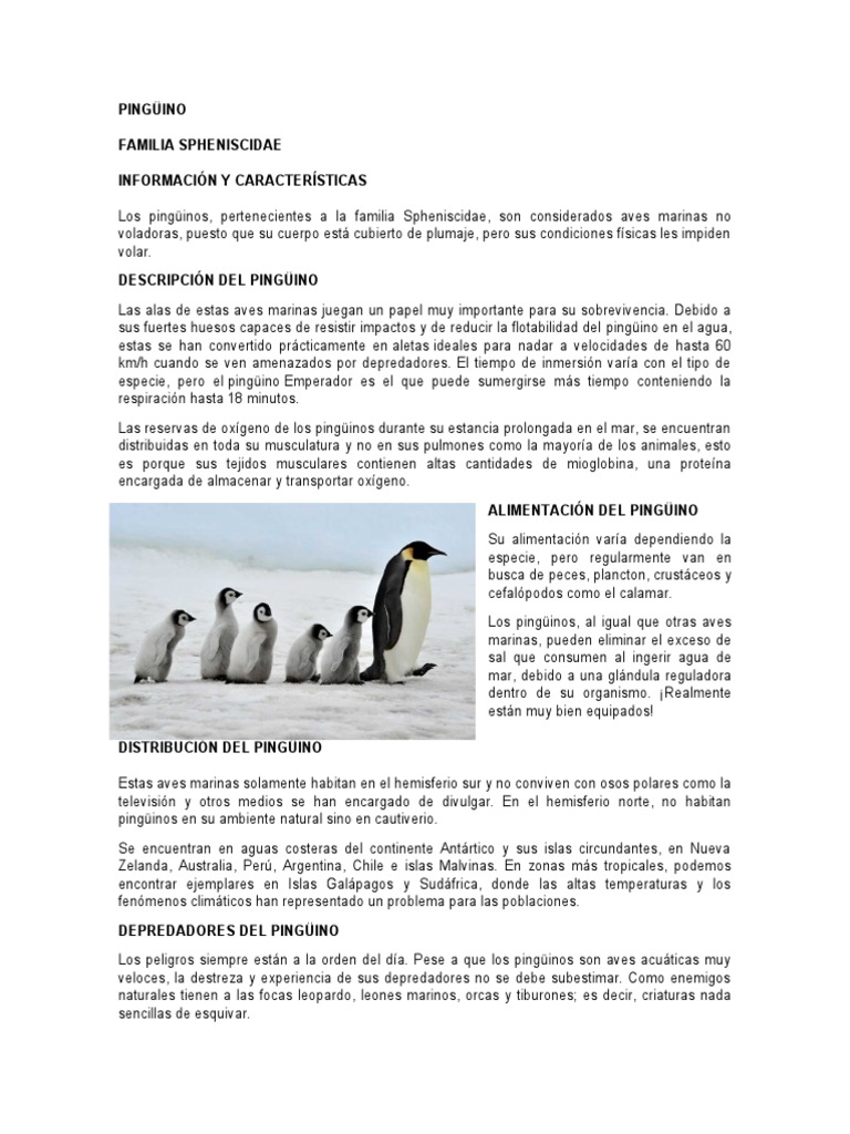 PINGÜINO | PDF | Pingüino | Organismos