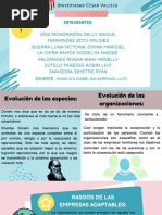 Trabajo en Equipo: Lecciones de Hormigas | PDF | Hormiga | Libertad
